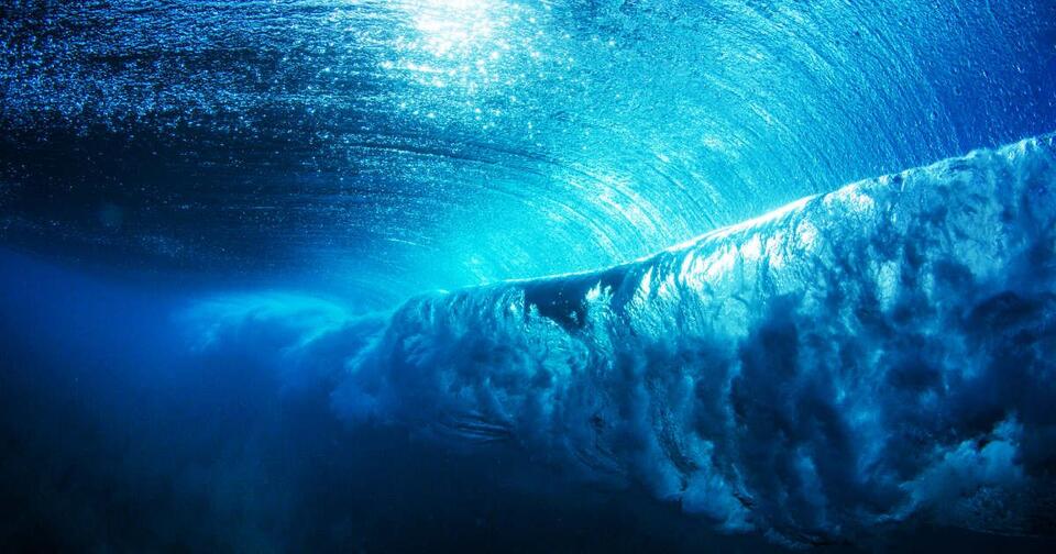 Scientists alarmed as the ‘blob’ returns and this time, it stretches ...