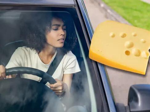 Wisconsin Police Claim Culprit Was 'Throwing Cheese' At Other Cars