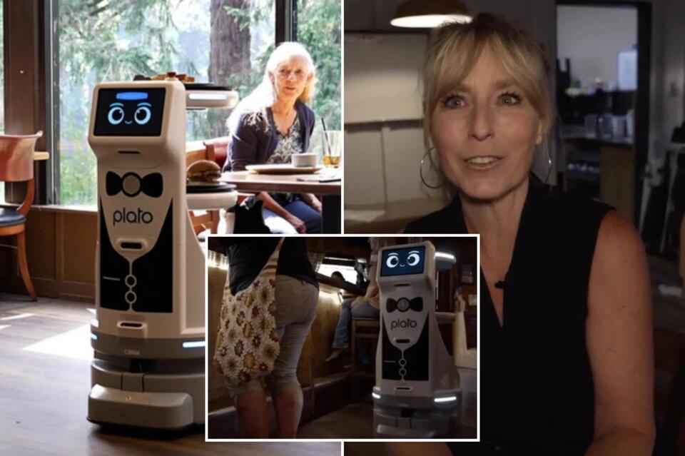 Small town restaurant’s robot waiter enrages locals, drives customers ...