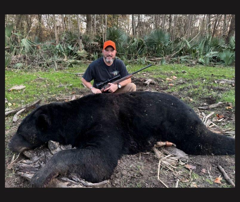 Louisiana Black Bear Hunting Season successfully concludes with massive ...