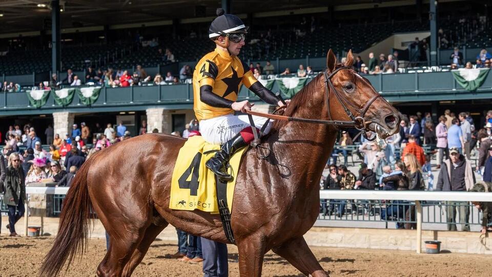 Preakness Stakes 2025 predictions, odds: Best win, place, show, exacta, trifecta, and superfecta ...