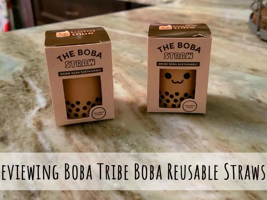 our-review-of-the-boba-tribe-boba-straw-florida-family-insiders