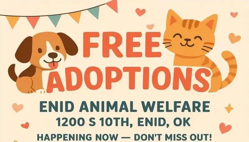Enid Animal Welfare Announces Waived Adoption Fees - NewsBreak