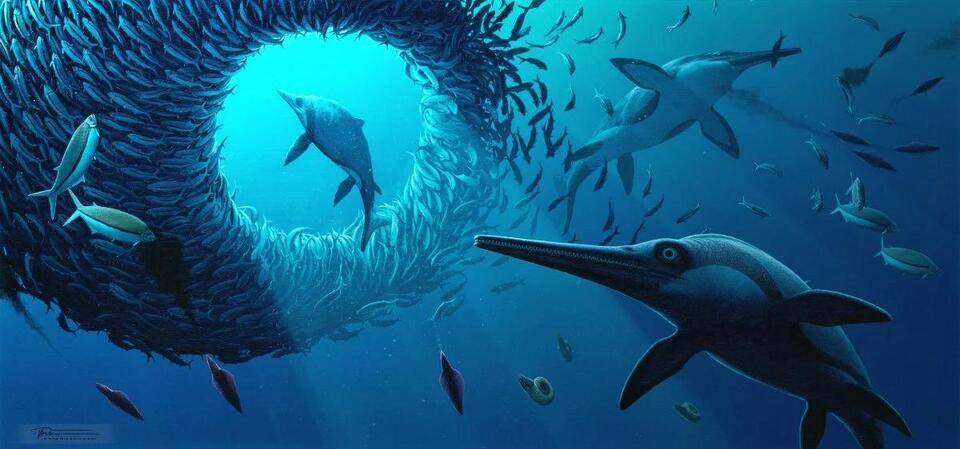 New 190-Million-Year-Old “Sword Dragon” Rewrites Ichthyosaur Evolution ...