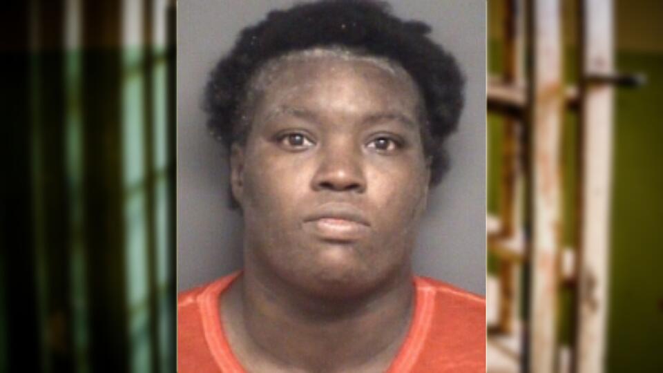 Alexis Collins accused of setting fire to occupied home, faces felony ...