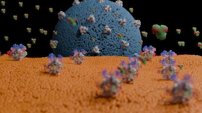 Vanderbilt Center for Antibody Therapeutics signs agreement to develop ...