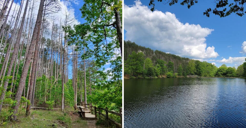 This Easy 0.8-Mile Indiana Hike Leads to a Hidden Waterfall Created by ...