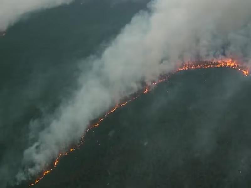 July 4 fireworks set New Jersey forest fire that burned thousands of acres