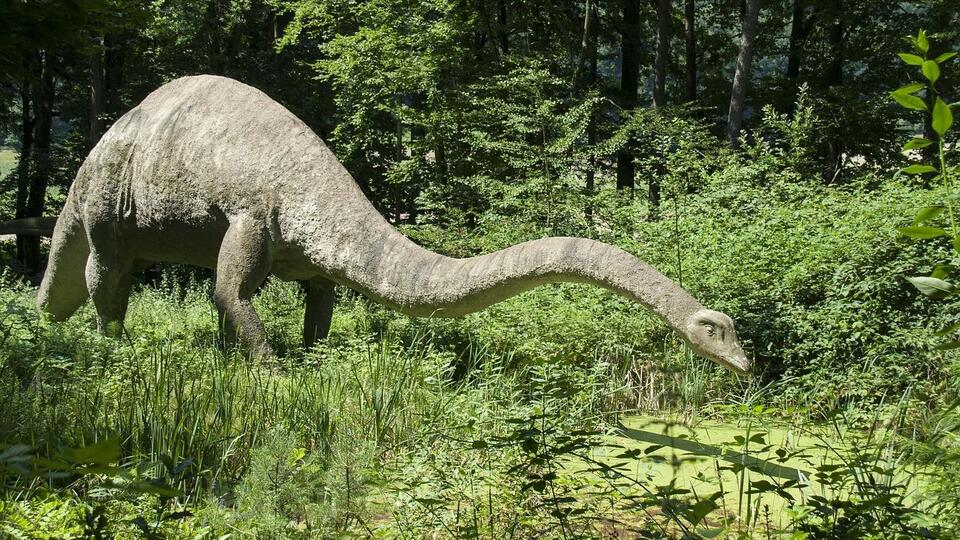 6 Herbivore Dinosaurs That Fed on Plants - NewsBreak