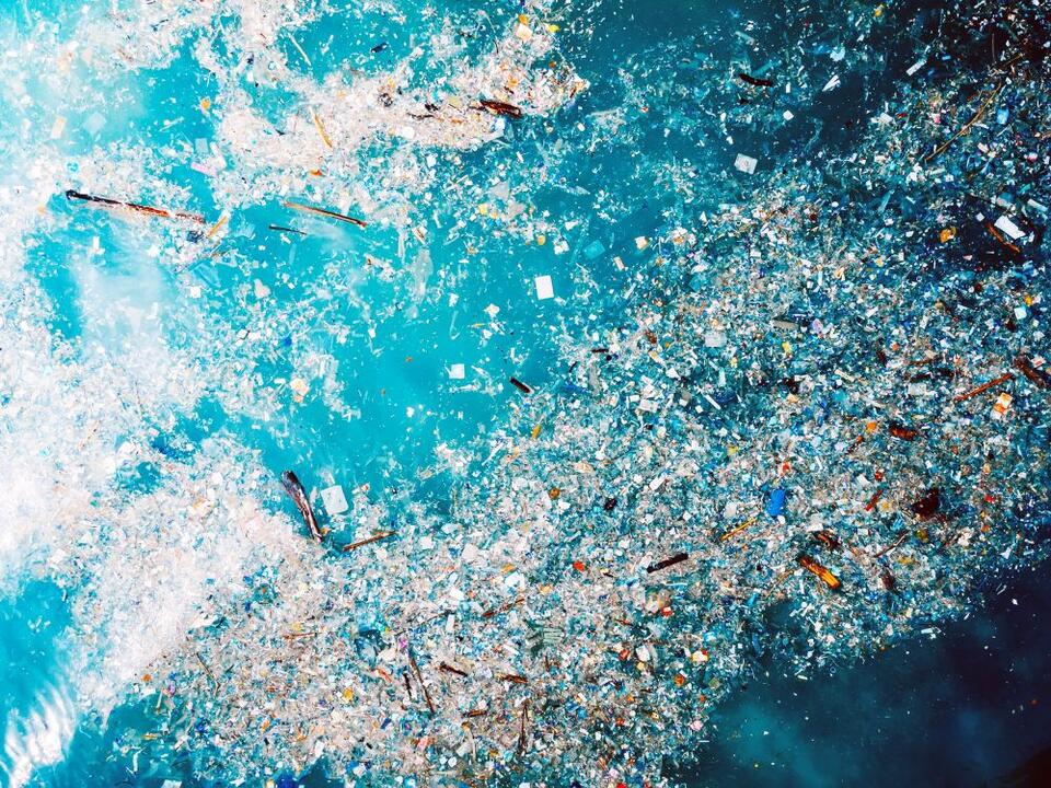 Microplastics dramatically weaken the ocean’s ability to absorb carbon ...