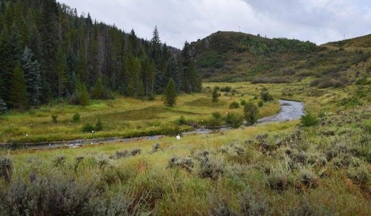 Colorado Parks and Wildlife Announces Mandatory Fishing Closure on ...