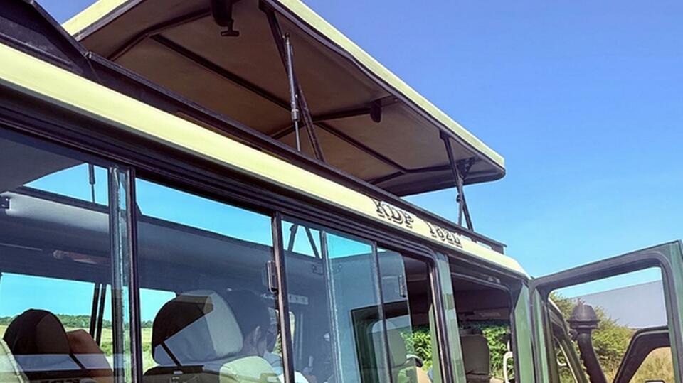 Am I Too Old to Take an African Safari? - NewsBreak