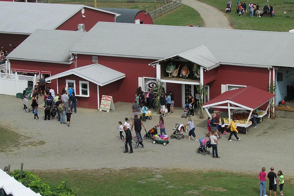 Barton Orchards: Rising From the Ashes - NewsBreak