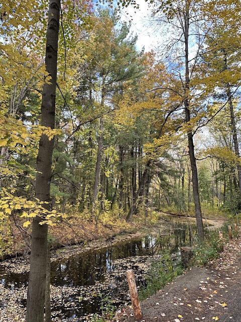 A Fall Hike In Irvine Park and Hoffman Hills - NewsBreak