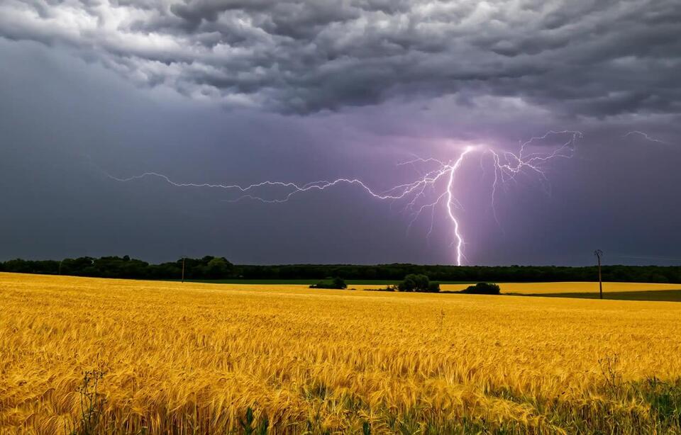 Switch storm coming: Gartner forecasts price hikes, long lead times for ...