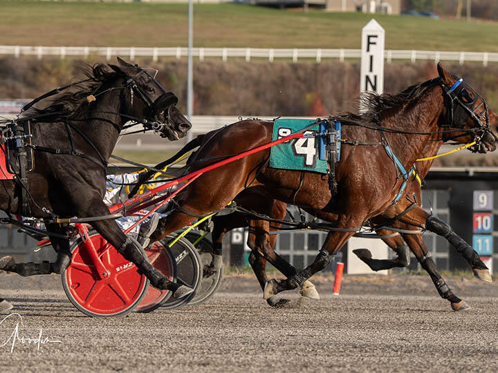 Millionaire Marloe Hanover ekes out win in Meadows distaff; Palone wins ... Millionaire Marloe Hanover ekes out win in Meadows distaff; Palone wins ...