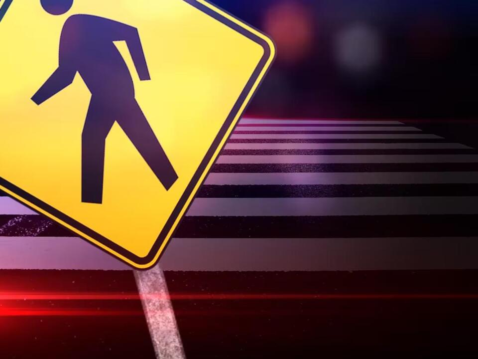 Man Dies After Being Hit By Vehicle In Bay County