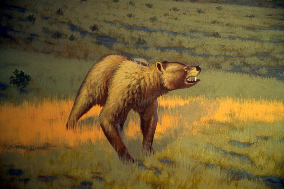 Short-Faced Bears: The Apex Predators of the Ice Age - NewsBreak