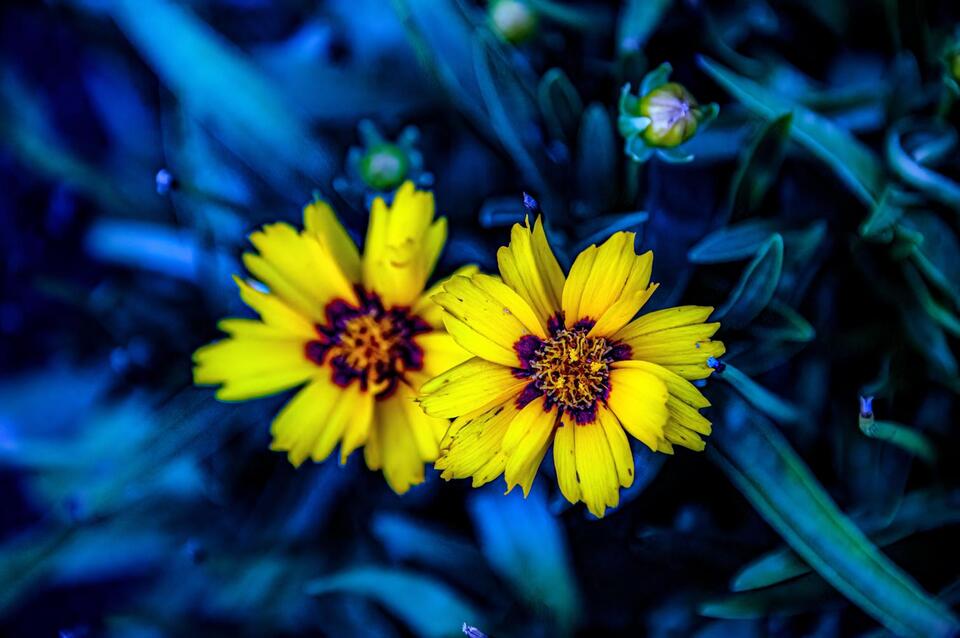 Ne Zha 2: The Best Movie You Haven’t Heard Of - NewsBreak