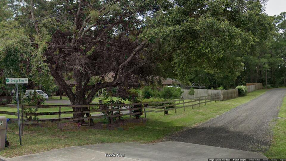 Man steps to his death when he ends up directly under falling tree, FL ...