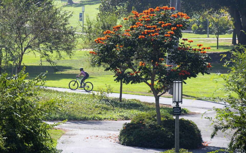 UCI is No. 9 on 2024 Princeton Review ranking of green schools - NewsBreak