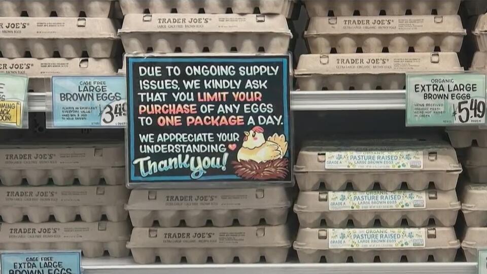 Egg prices are surging, so why are chicken prices stable? - NewsBreak