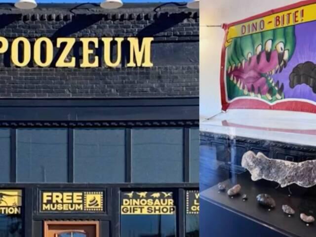 ‘The Poozeum’ in AZ has the world’s largest collection of fossilized ...