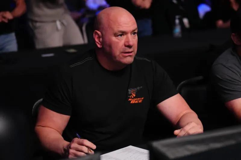 Google reveals the two UFC events that dominated global search trends ...