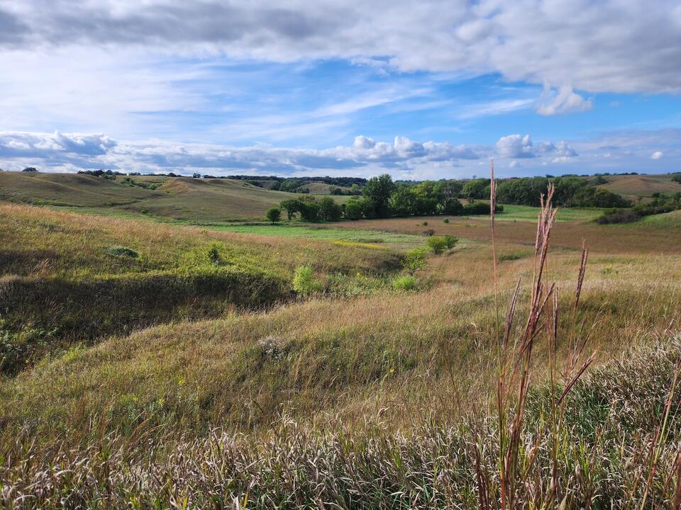 A prairie lover's guide to the Glacial Trail Scenic Byway - NewsBreak