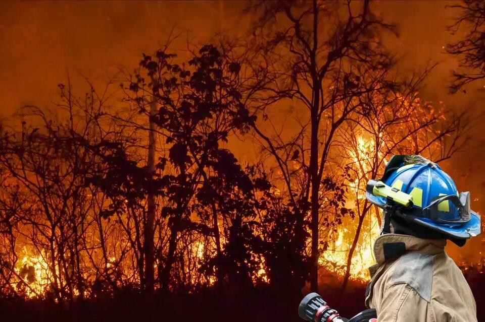 Wildfires in 2025: How Prepared is WA State? - NewsBreak