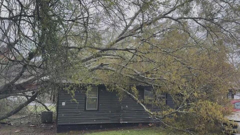 Overnight storms damage Talladega County home, down trees and power ...