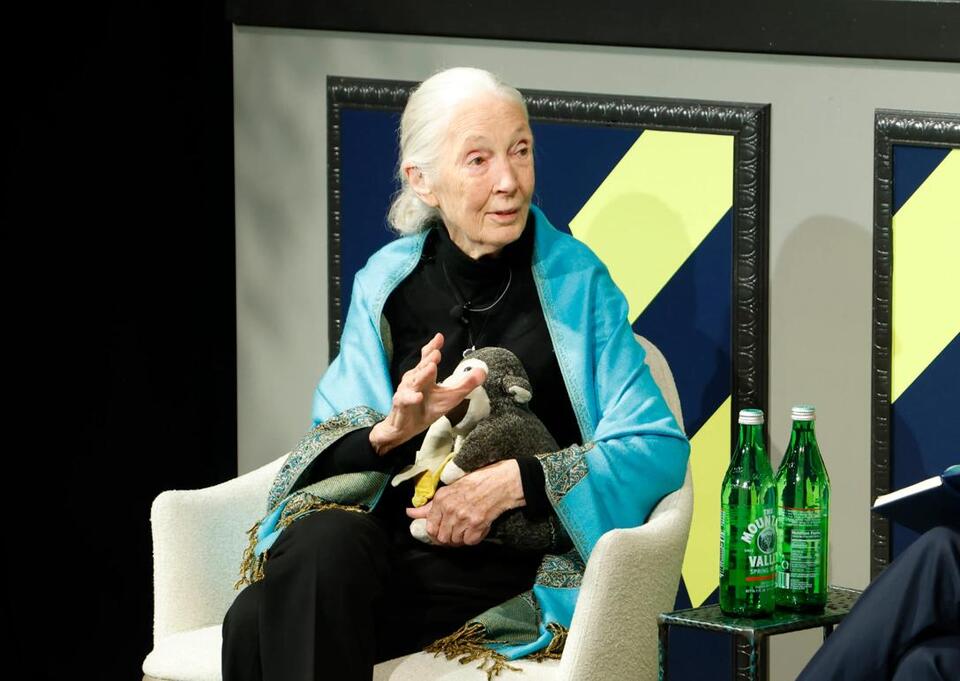 Who was Jane Goodall married to? All about her kids and grandchildren ...