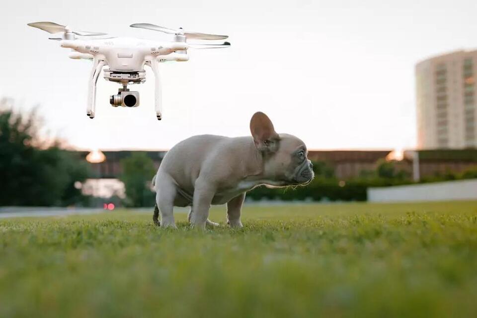 Check Out Minnesota’s Newest Invention: The Poopcopter - NewsBreak