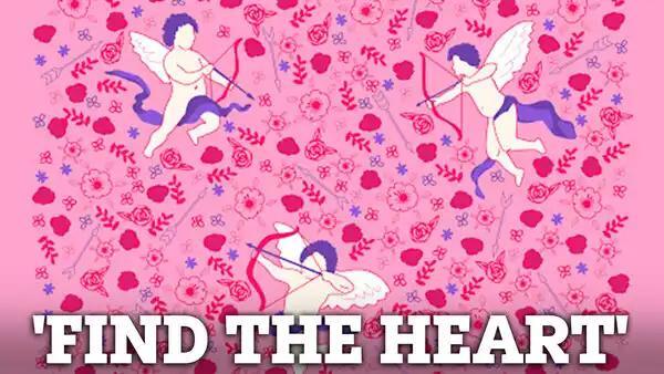You have 20/20 vision and a high IQ if you can spot the hidden heart in ...