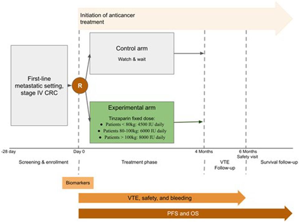 Tinzaparin for the prevention of thromboembolic events in ambulatory ...