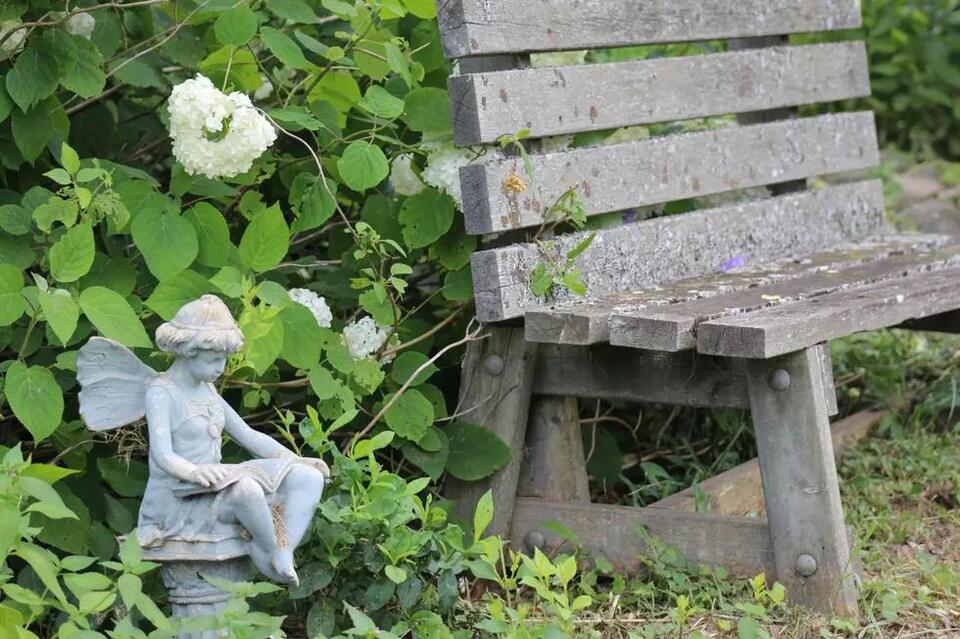 Hermon Maine’s Beautiful Hidden Gem is a Lunch Hour Oasis - NewsBreak