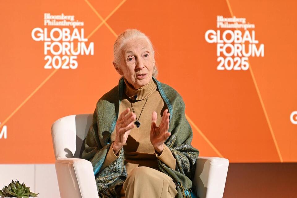 Was Jane Goodall married? All about family as beloved anthropologist ...