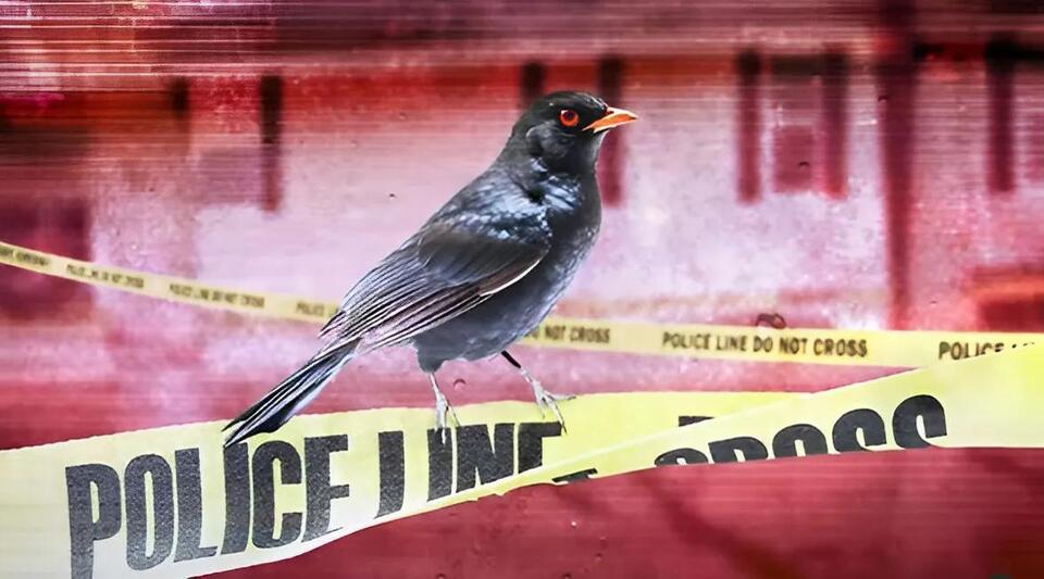 What happened to Jade Beasley? Details about Murder on Songbird Road ...