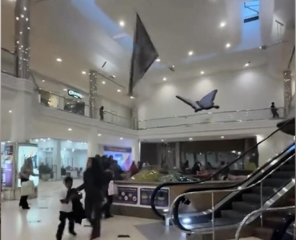 Construction Wall Collapse Causes Panic at Twelve Oaks Mall - NewsBreak