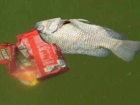 The physics prize was awarded for "demonstrating and explaining the ...