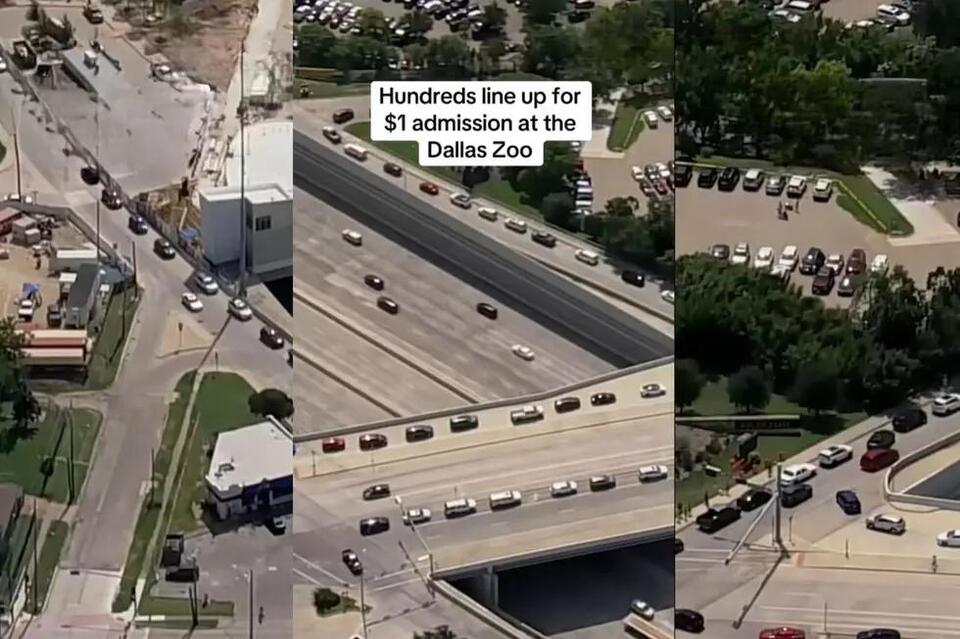 Hundreds Line Up for $1 Admission at the Dallas Zoo - NewsBreak