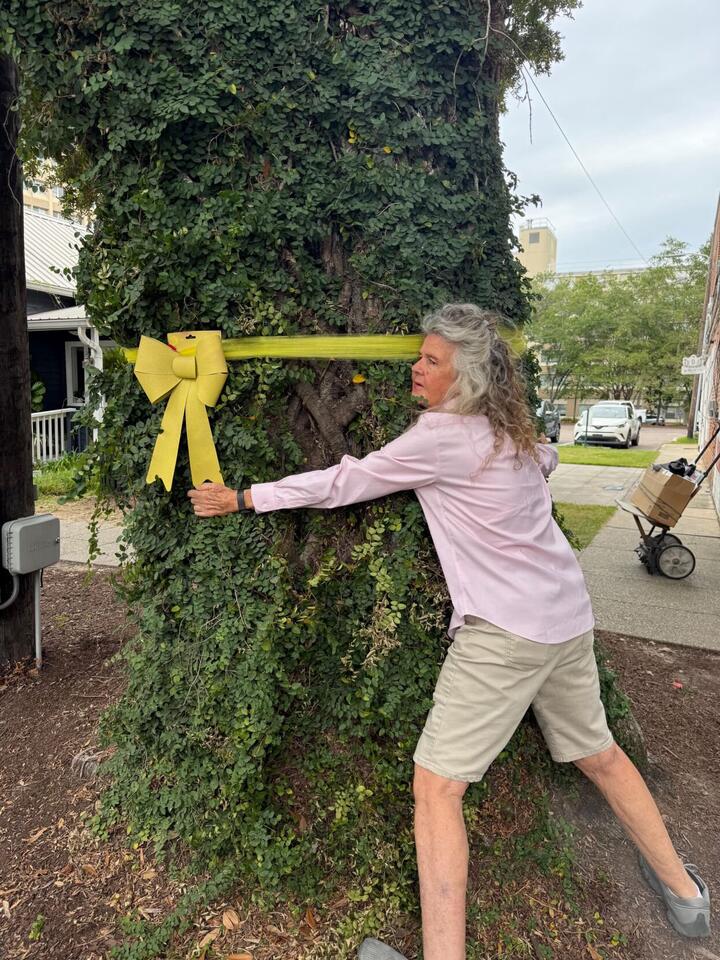Town Gathers Under the Lovelace Oak — Rally Held to Save Iconic Tree ...