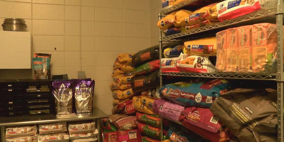 Huntsville Animal Services now provides free pet food for those in need ...