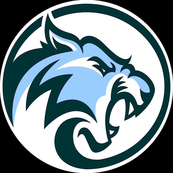 Soccer Game Preview: Wesley Chapel vs. River Ridge + How To Watch ...