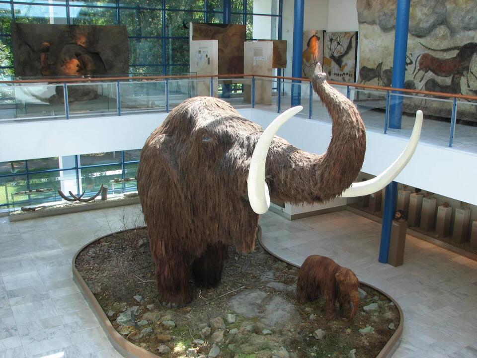 Hidden Museum Treasures That Changed What We Know About Life on Earth ...