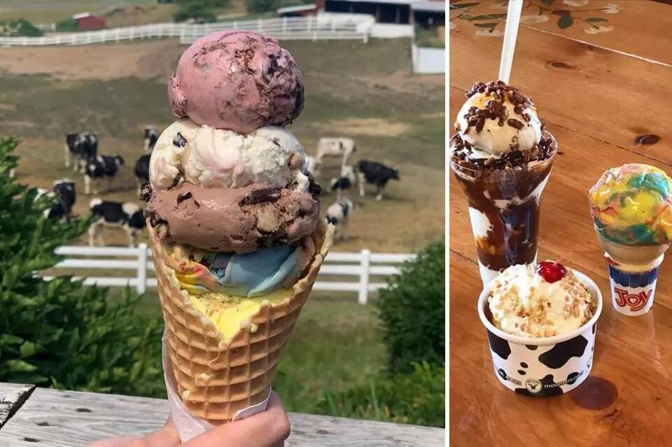 This Michigan Ice Cream Shop Was Just Named the Best in the State ...