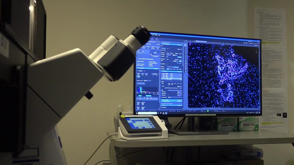 Long Island's medical research facilities could face funding crisis ...