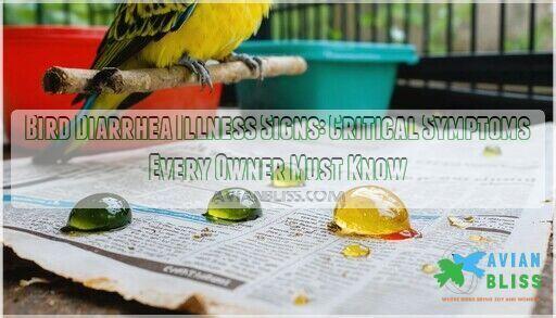 Bird Diarrhea Illness Signs: Critical Symptoms Every Owner Must Know ...
