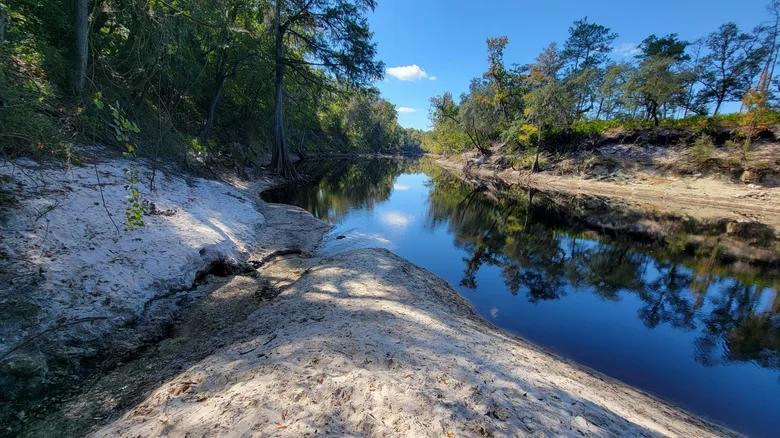 Between Jacksonville And Tallahassee Is Florida's Underrated Park With ...