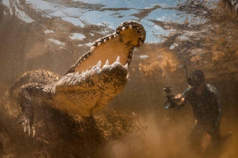 Watch the Terrifying Encounter When a Massive Saltwater Crocodile ...